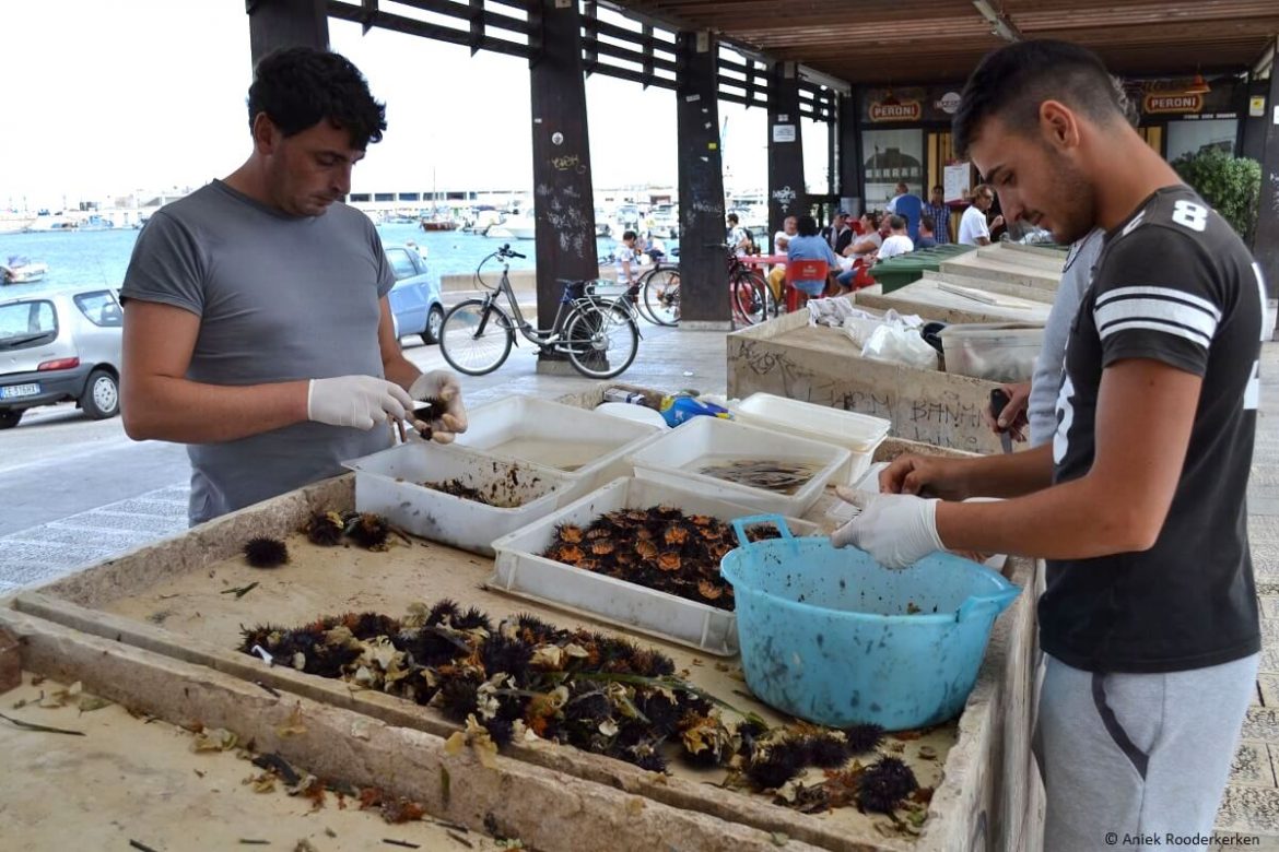 Zee-egels eten in de haven van Bari, Puglia - Italië Uitgelicht